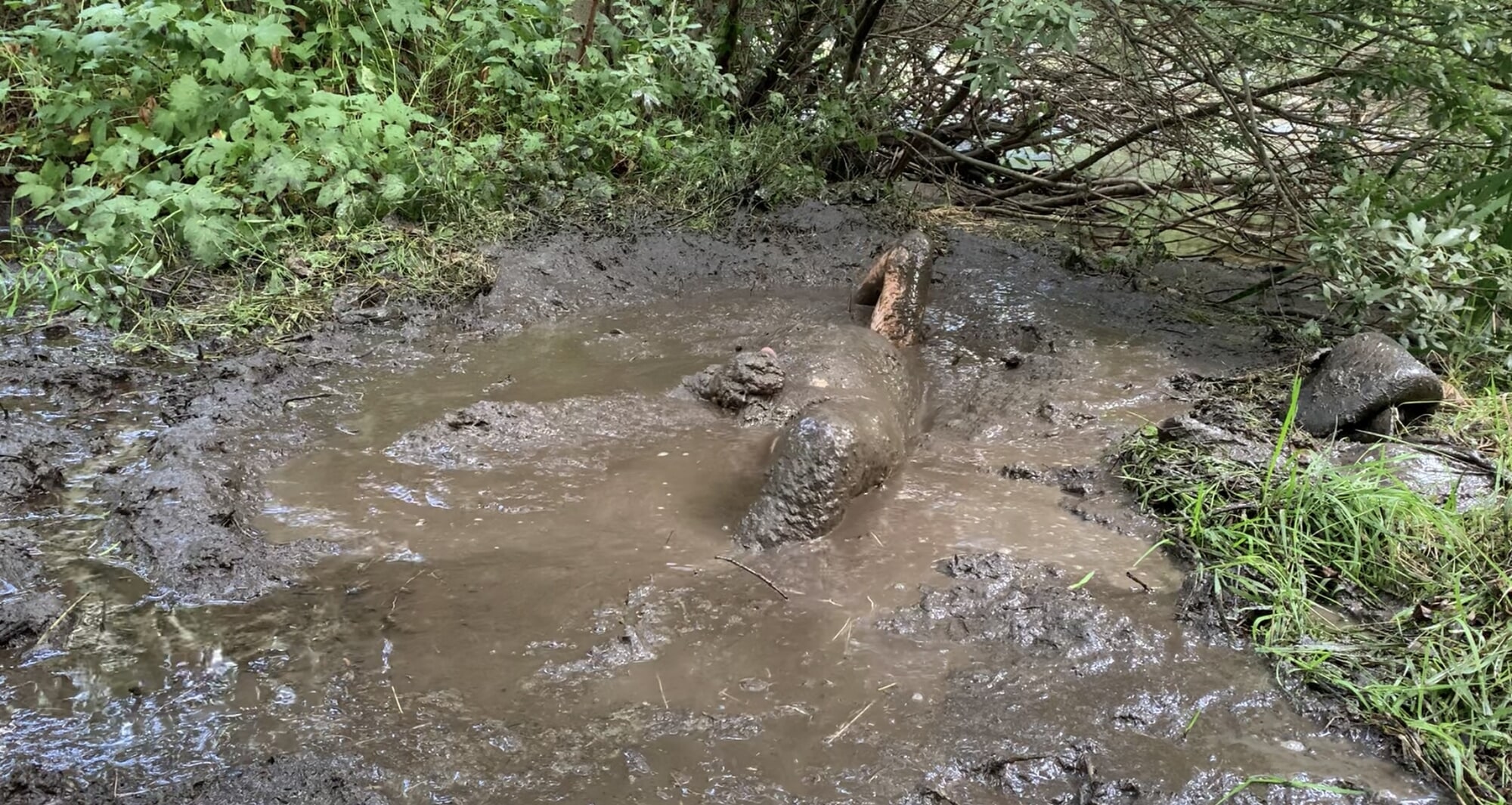 Mud Mud Mud 38 Pics Xhamster 5133