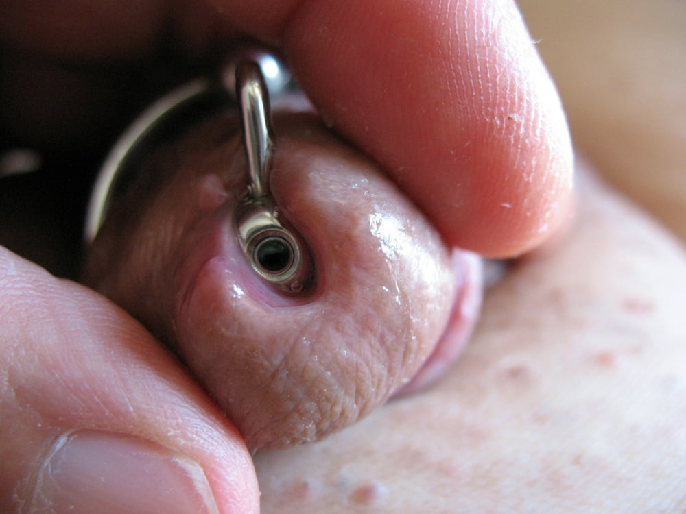More Steel In Cock With Glans Rings 430 Pics Xhamster